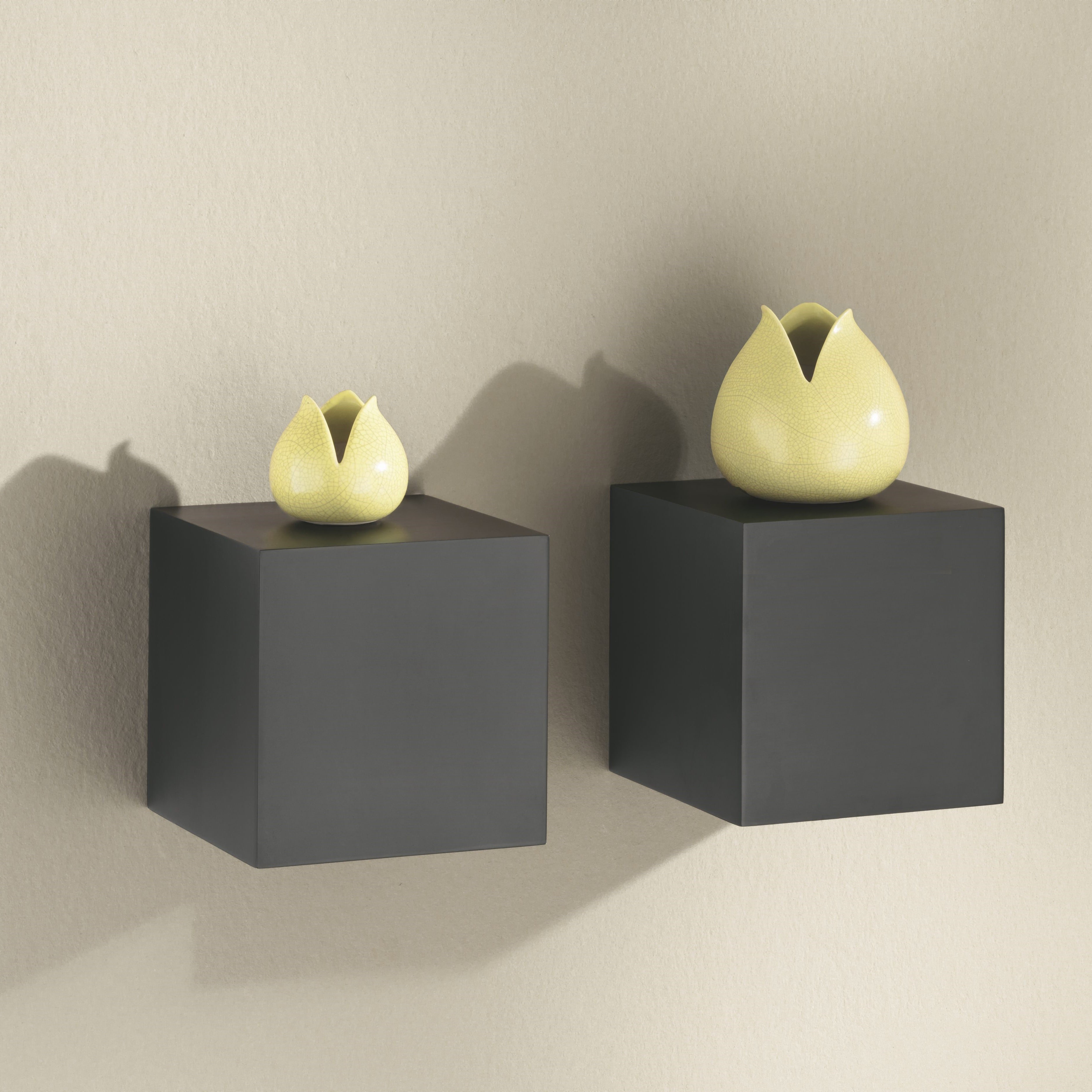 SHELF+ Dado Cube Shelf Kit | Shelf & Co.